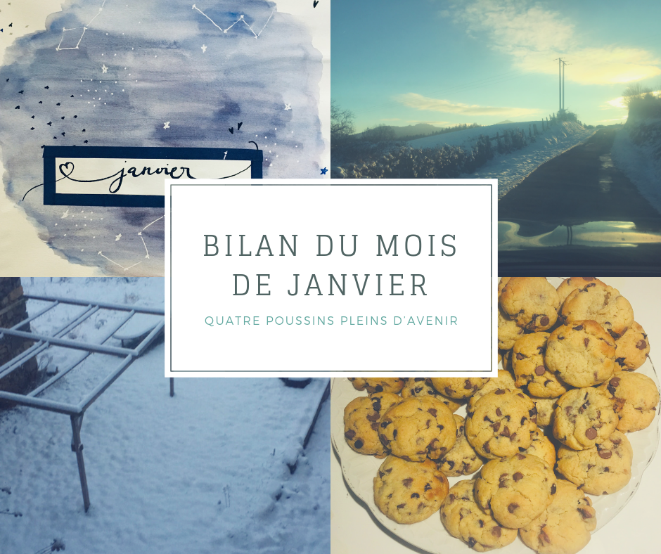 Bilan du mois de janvier